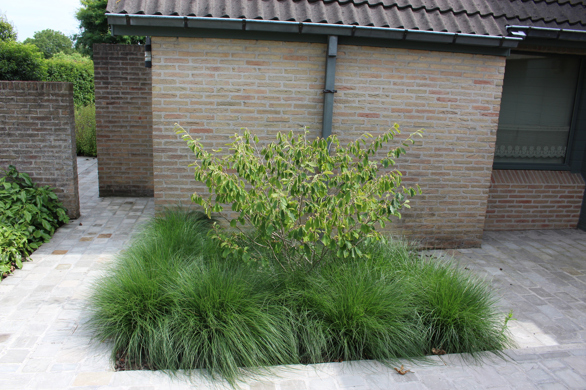 Tuinvoorbeelden - Tuincentrum De Molen