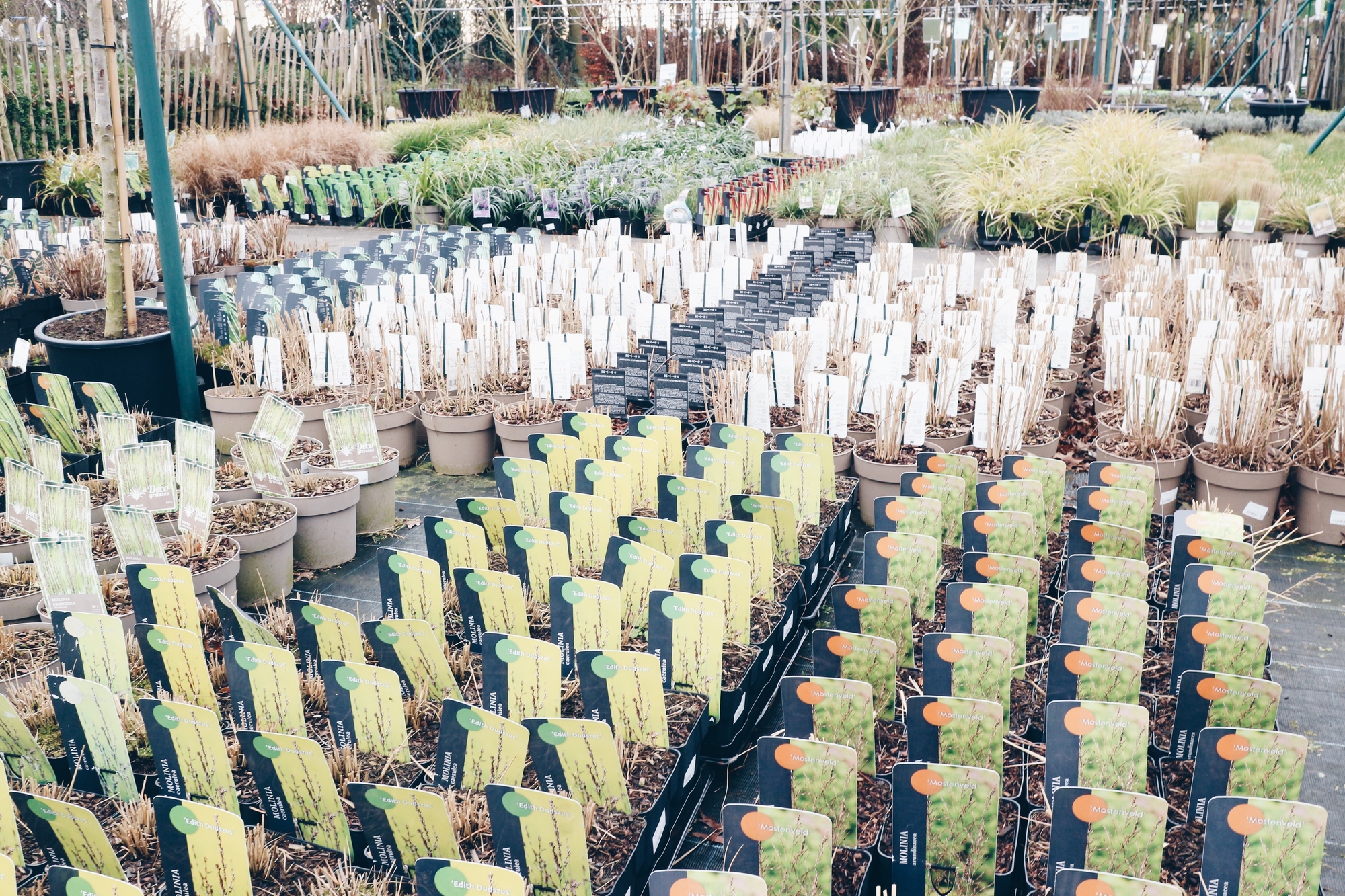 Winkels - Tuincentrum De Molen