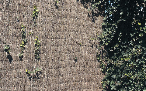 Ericamatten kopen - Tuincentrum De Molen