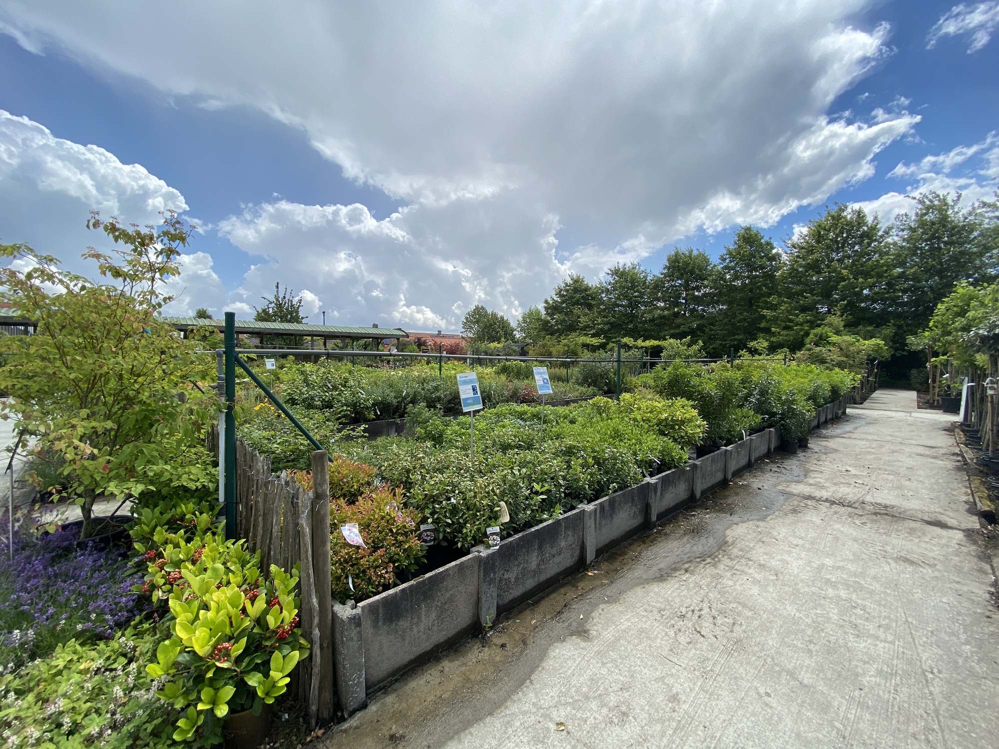 Winkels - Tuincentrum De Molen