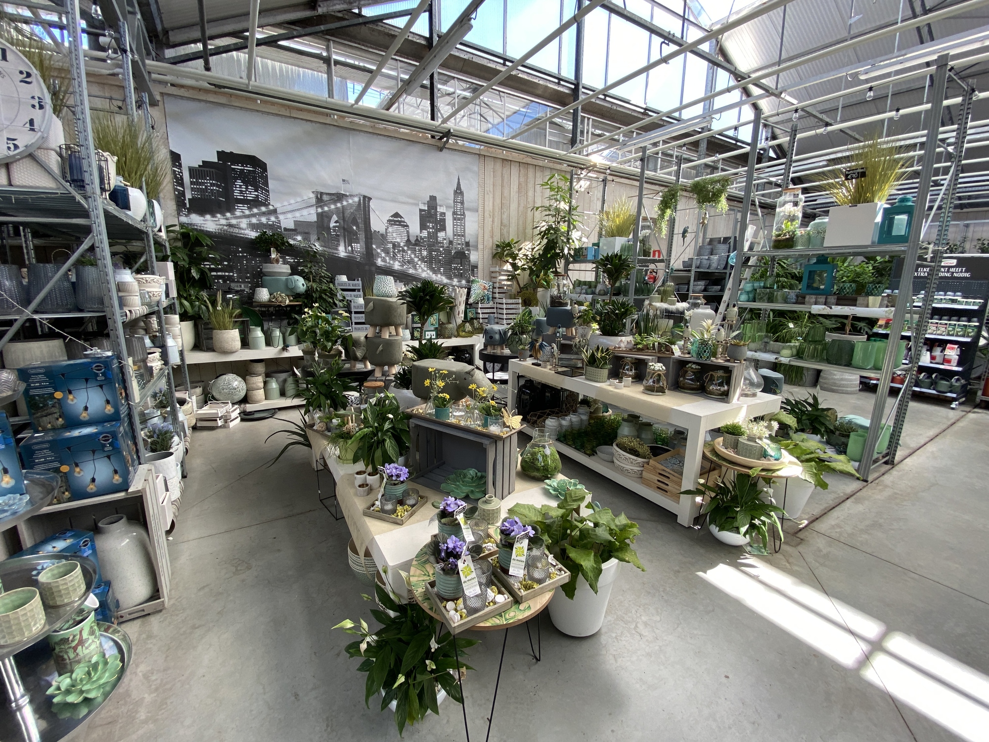 Winkels - Tuincentrum De Molen