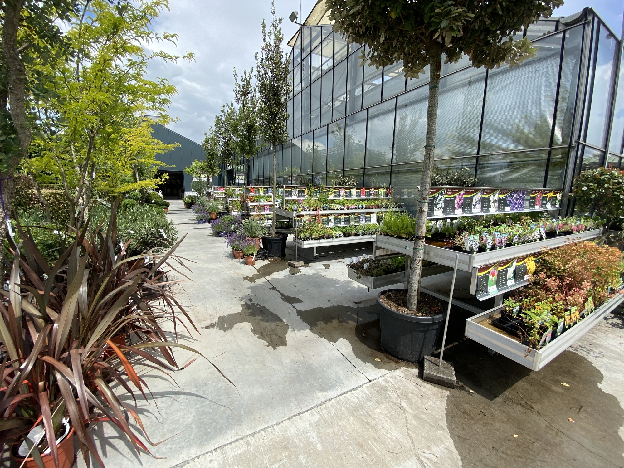 Winkels - Tuincentrum De Molen