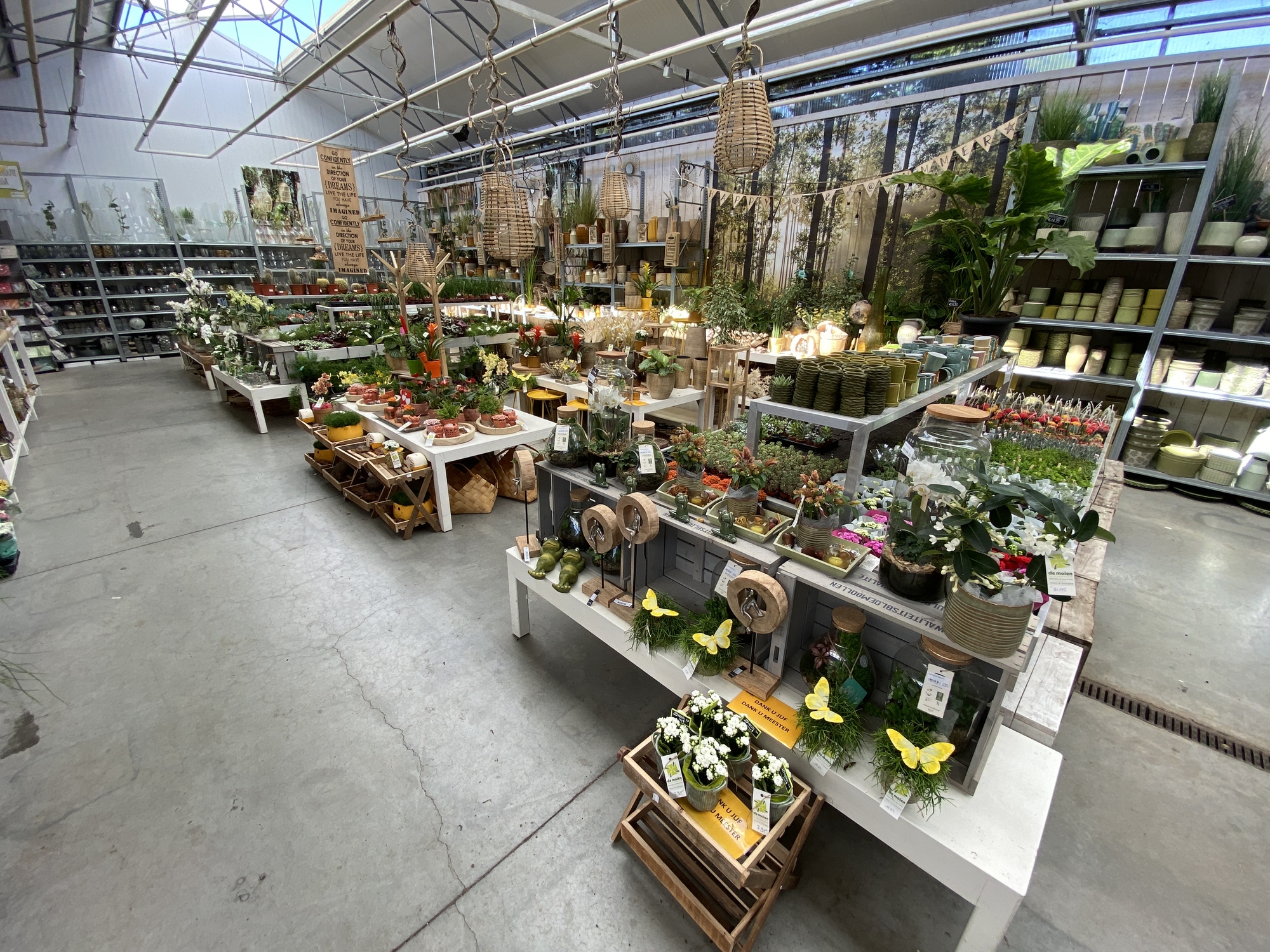 Winkels - Tuincentrum De Molen