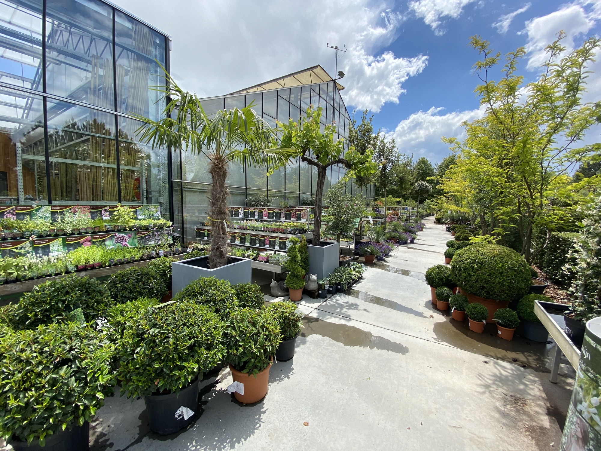 Winkels - Tuincentrum De Molen