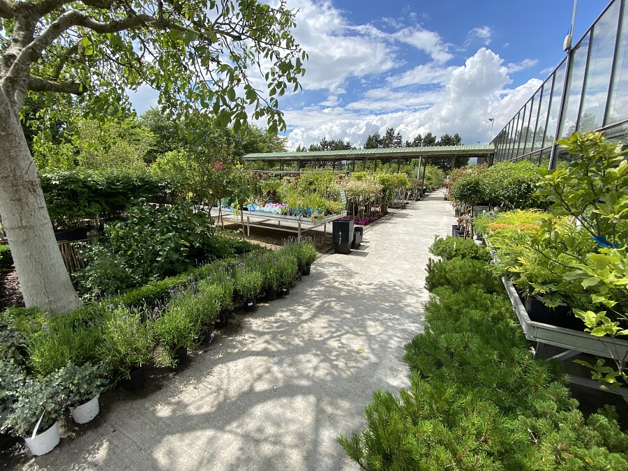 Winkels - Tuincentrum De Molen